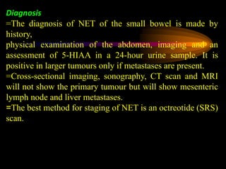 Enocrine tumours of the pancreas hegazy | PPT