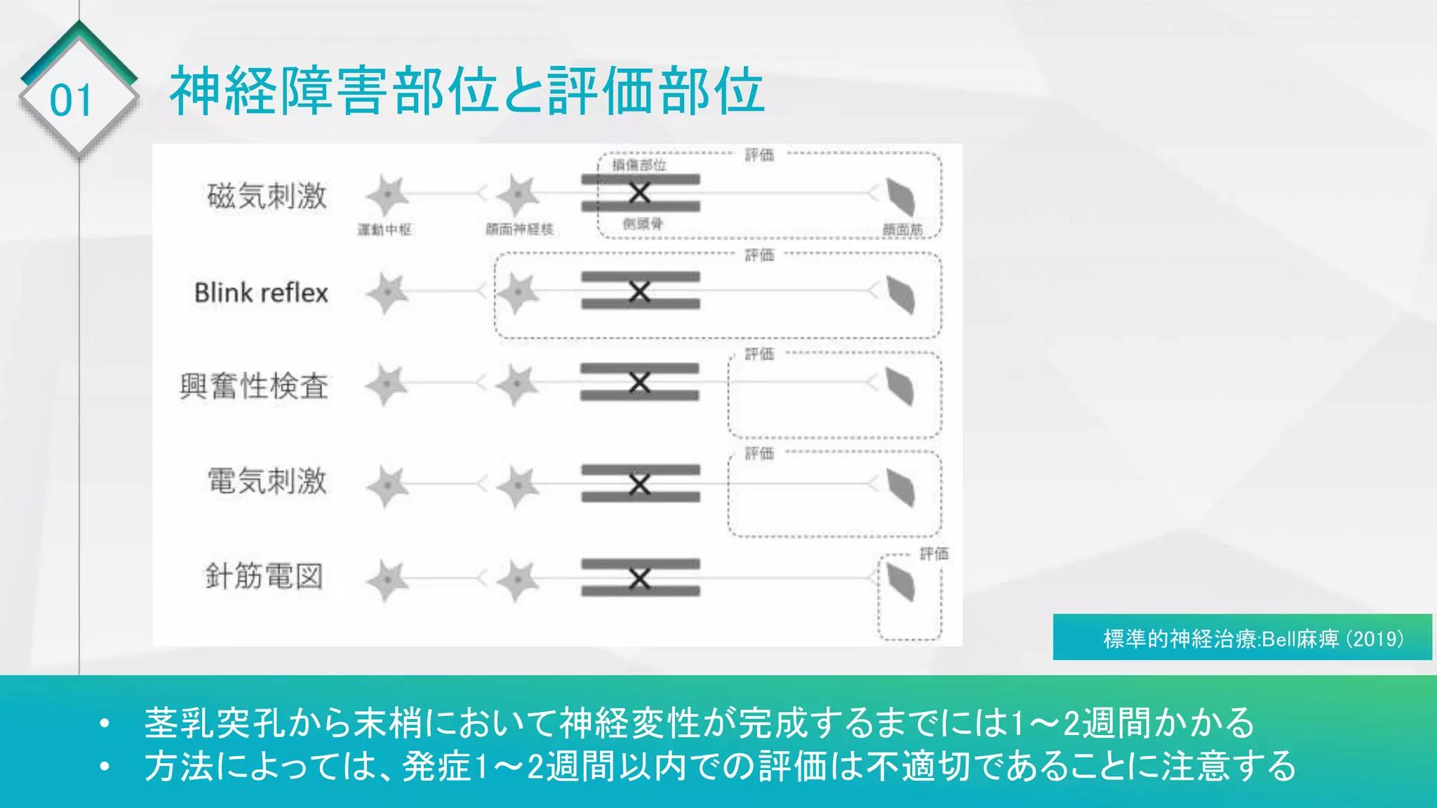 顔面神経麻痺の検査とENoGの基礎 | PPTX