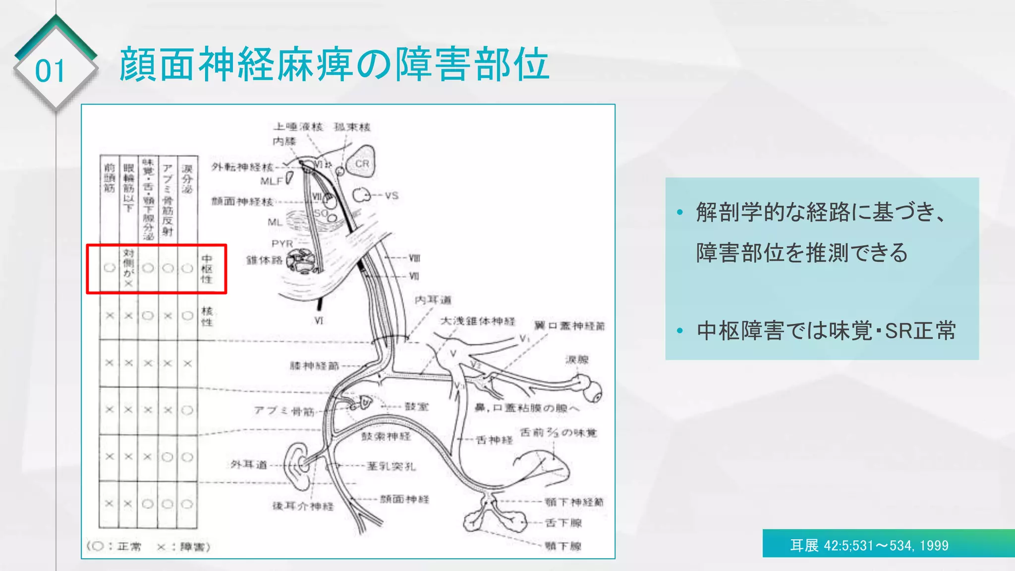 顔面神経麻痺の検査とENoGの基礎 | PPTX