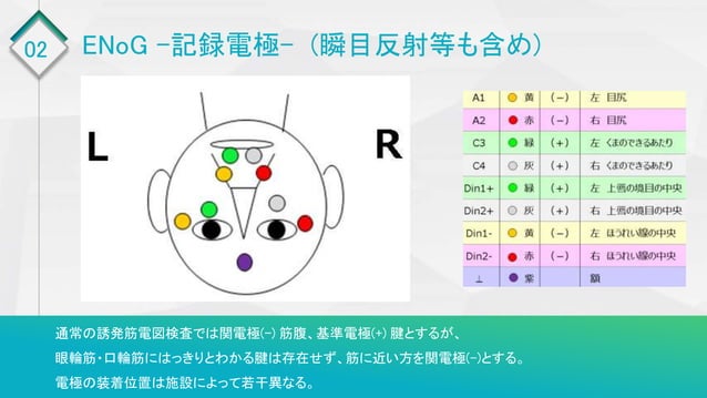 顔面神経麻痺の検査とENoGの基礎 | PPTX | Physical Therapy | Wellness