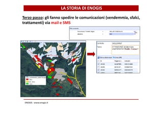 La storia di ENOGIS | PDF