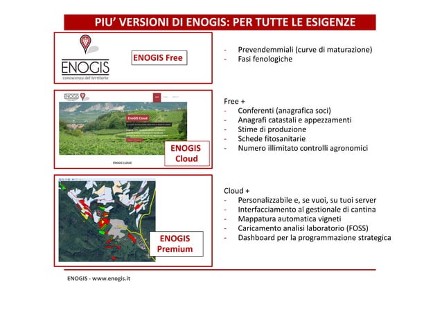 La storia di ENOGIS | PPT | Free Download