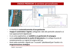 La storia di ENOGIS | PDF