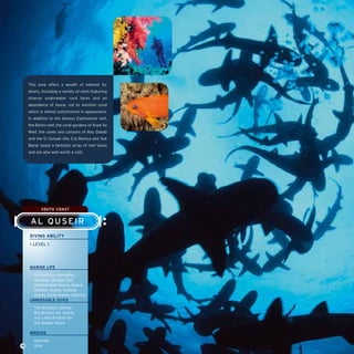 Egypt Diving | PDF