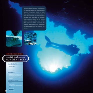 Egypt Diving | PDF