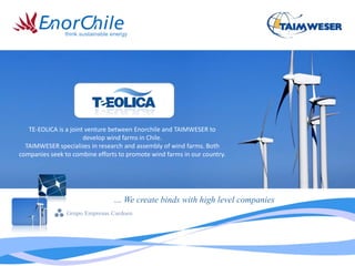 Enor Chile 2010 Corp | PDF | Power and Energy Industry | Industries