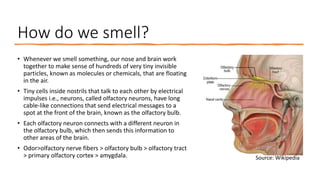 Electronic nose in Food Analysis | PPTX