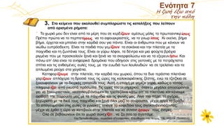 Ενότητα 7. Η ζωή έξω από την πόλη ΤΕΤΡΆΔΙΟ ΕΡΓΑΣΙΏΝ | PDF
