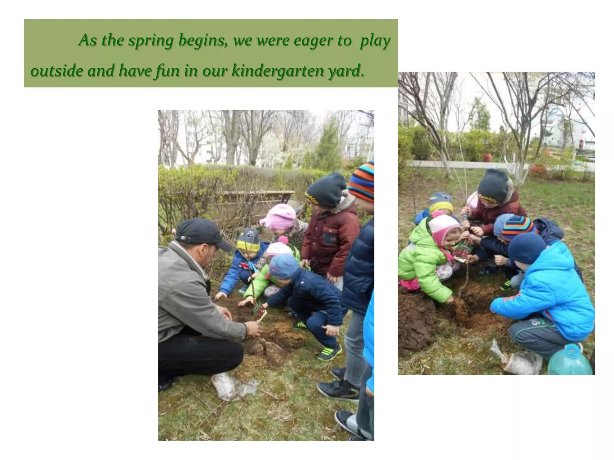 Eno tree planting campaign 2015 | PPTX | Landscaping | Home & Garden