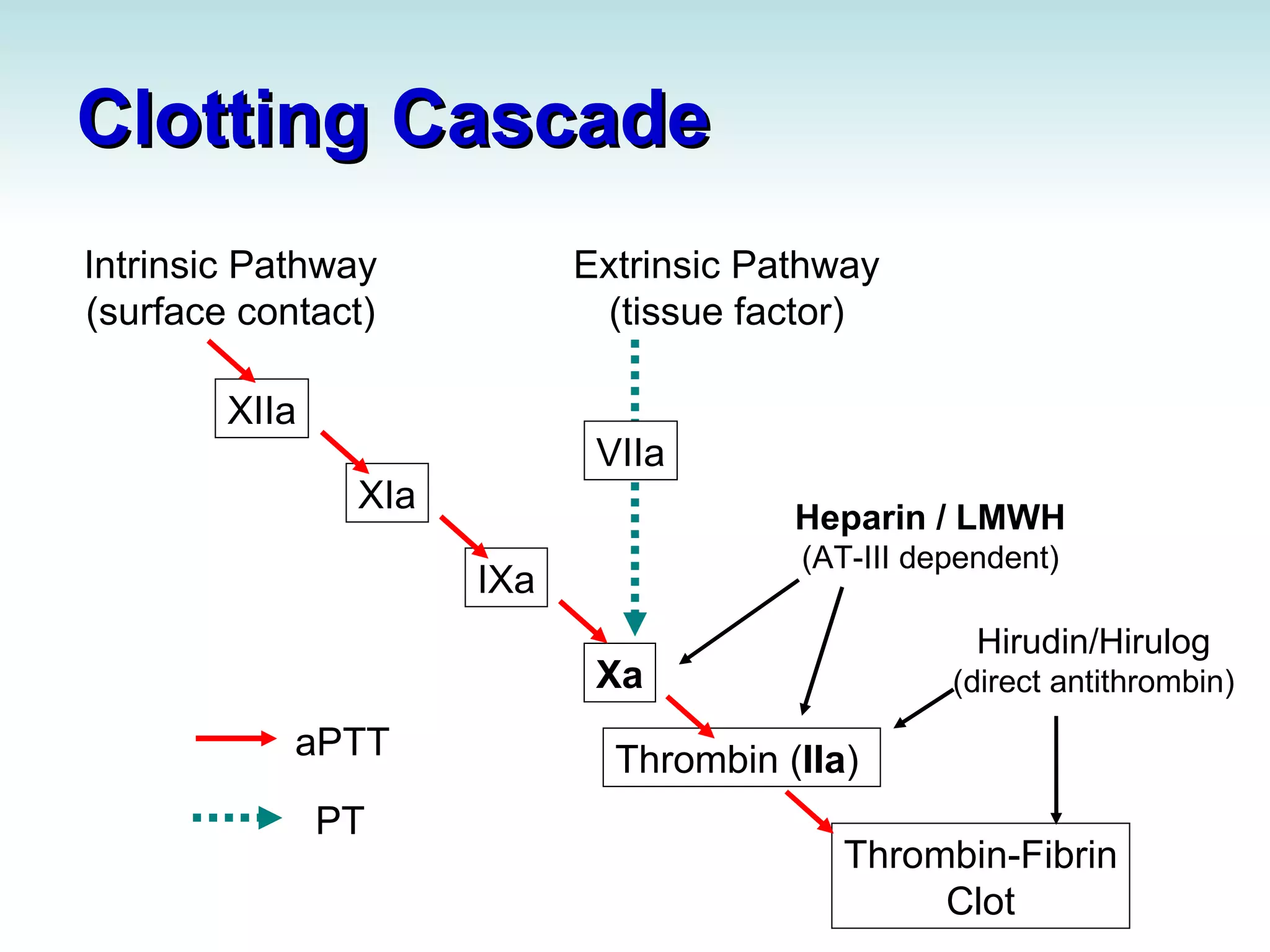 Enoxaparin | PPT