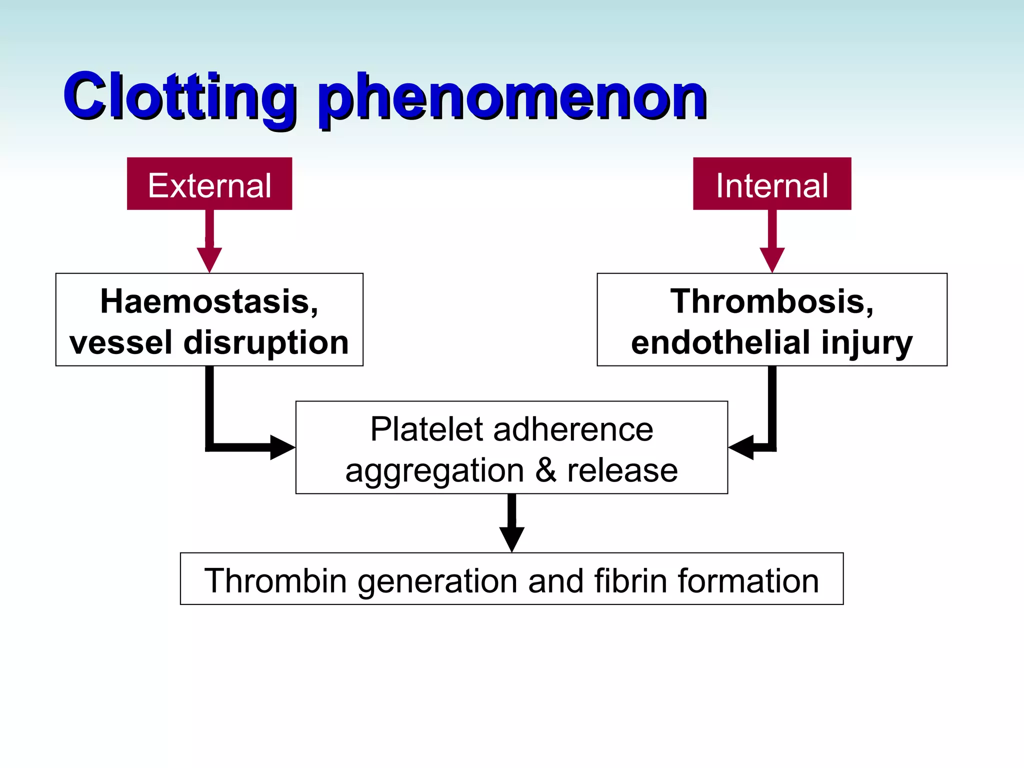 Enoxaparin | PPT