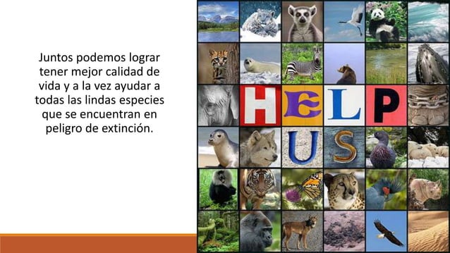 En peligro de extinción de pr | PPTX