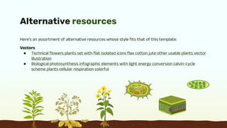 EN Plants_ Nutrition, Photosynthesis and Respiration by Slidesgo.pptx