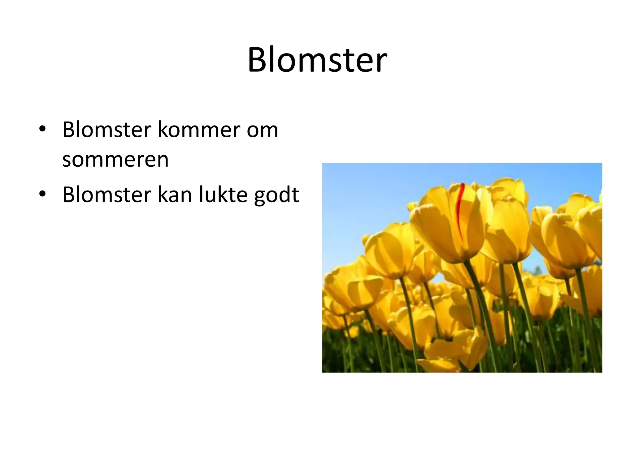 En presentasjon om sommer | PPTX