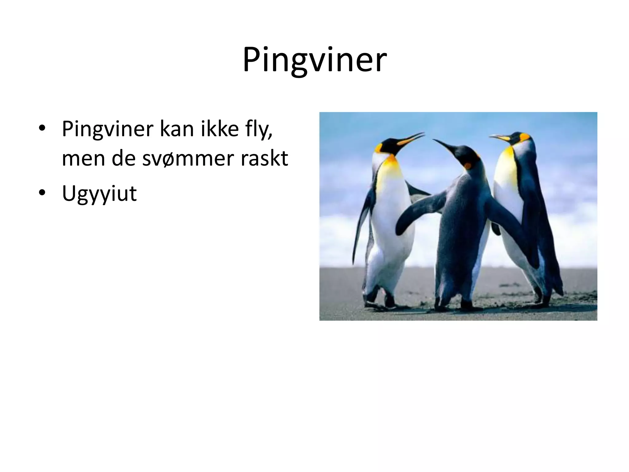 En presentasjon om sommer | PPTX