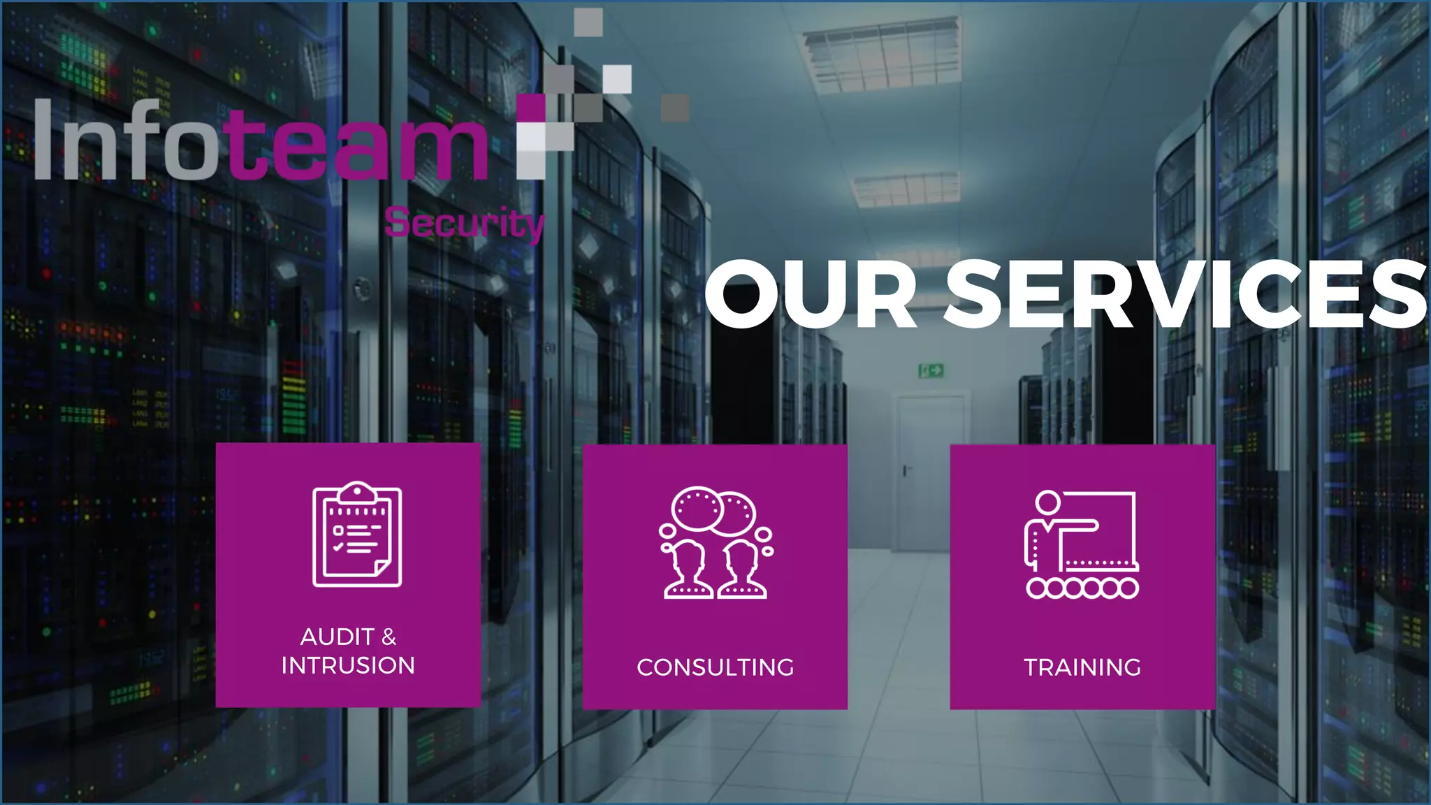 Infoteam Security - Our services | PDF