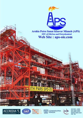 APS Profile Company | PDF
