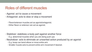 Enriched_muscles_and_energy.pdf Life Sciences in Mechanics | PPT