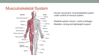 Enriched_muscles_and_energy.pdf Life Sciences in Mechanics | PPT