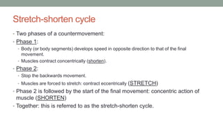 Enriched_muscles_and_energy.pdf Life Sciences in Mechanics | PPT
