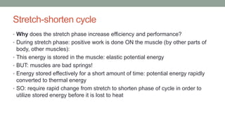 Enriched_muscles_and_energy.pdf Life Sciences in Mechanics | PPT