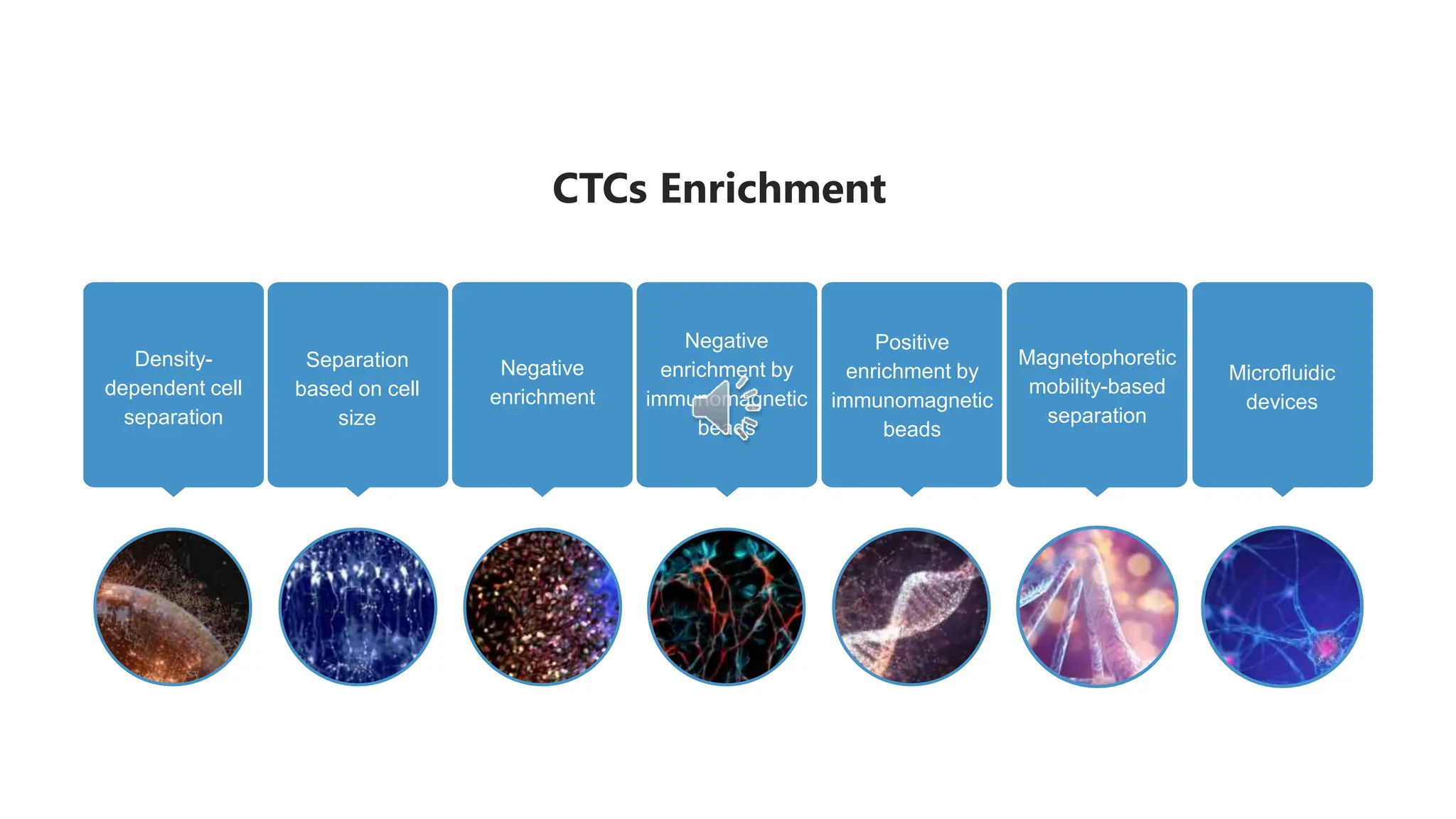 Enrichment Isolation And Characterization Of Ctcs Pptx