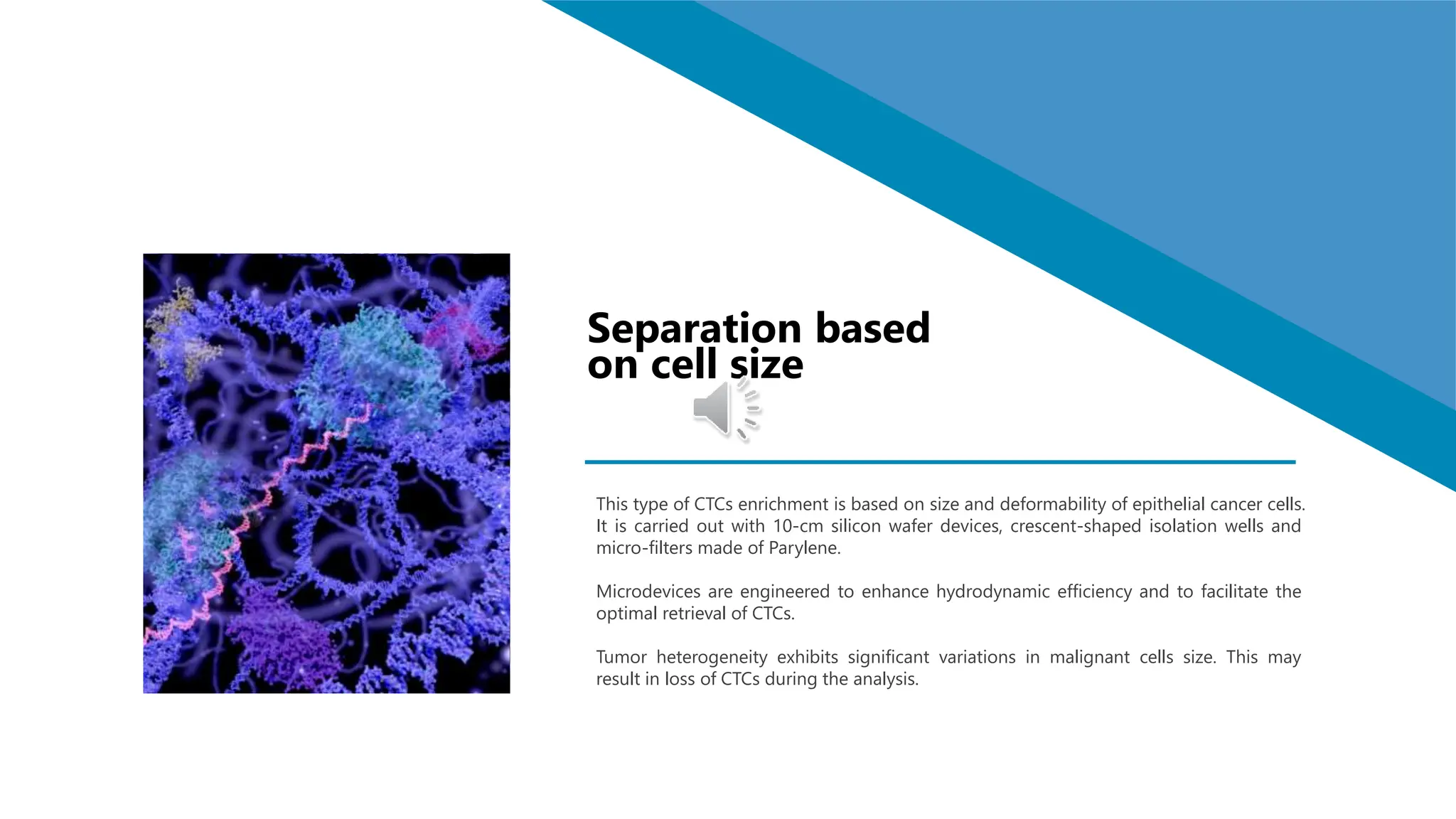 Enrichment Isolation And Characterization Of Ctcs Pptx