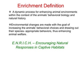 Enrichment of tiger and lion | PPTX