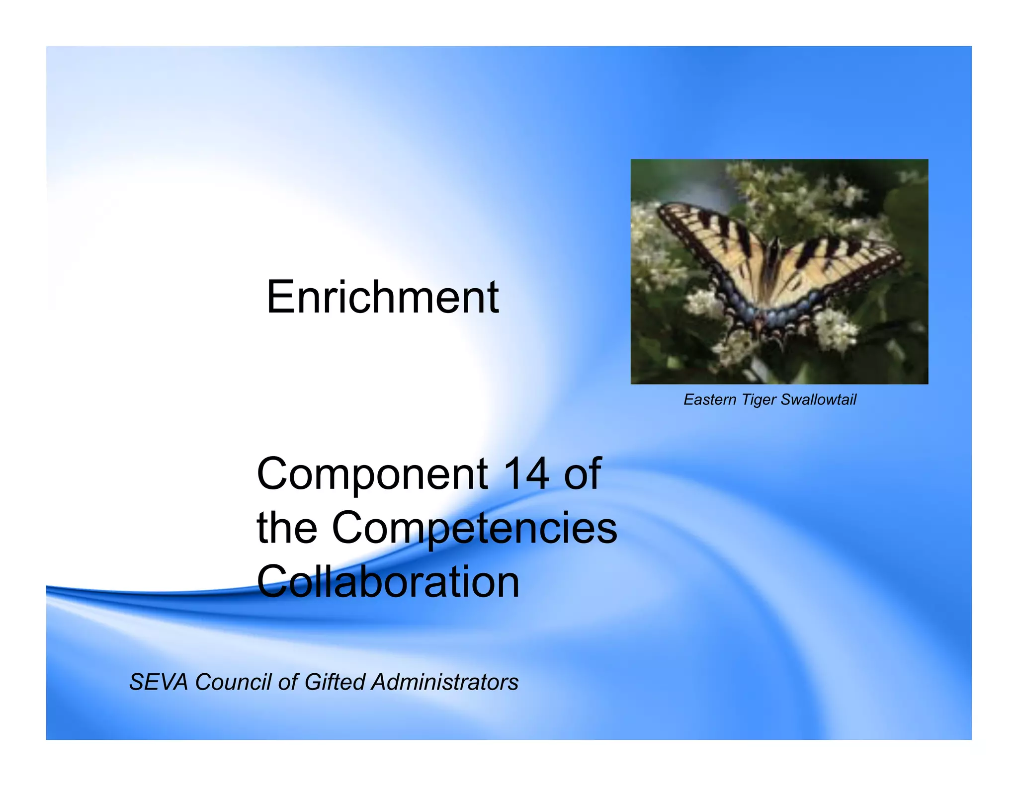 Enrichment Tips.pdf