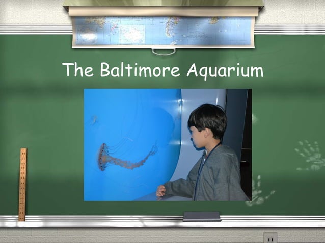 Enrichment week powerpoint | PPT