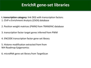 EnrichR database | PPTX