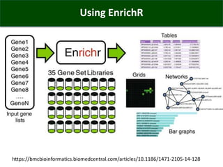EnrichR database | PPTX
