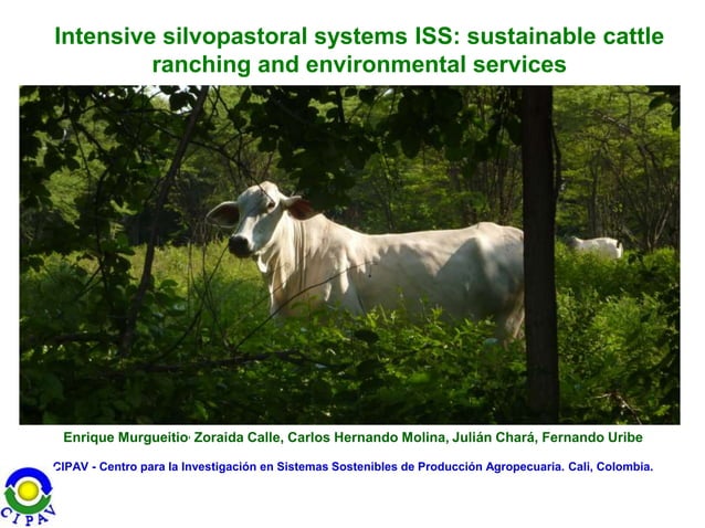 Intensive silvopastoral systems ISS: sustainable cattle ranching and ...