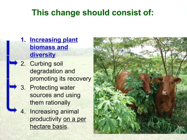 Intensive silvopastoral systems ISS: sustainable cattle ranching and ...