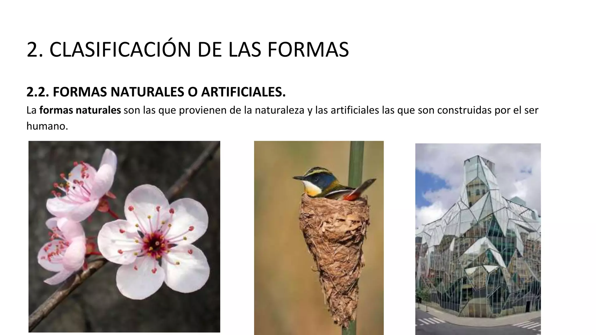 Percepcion visual y forma | PPT