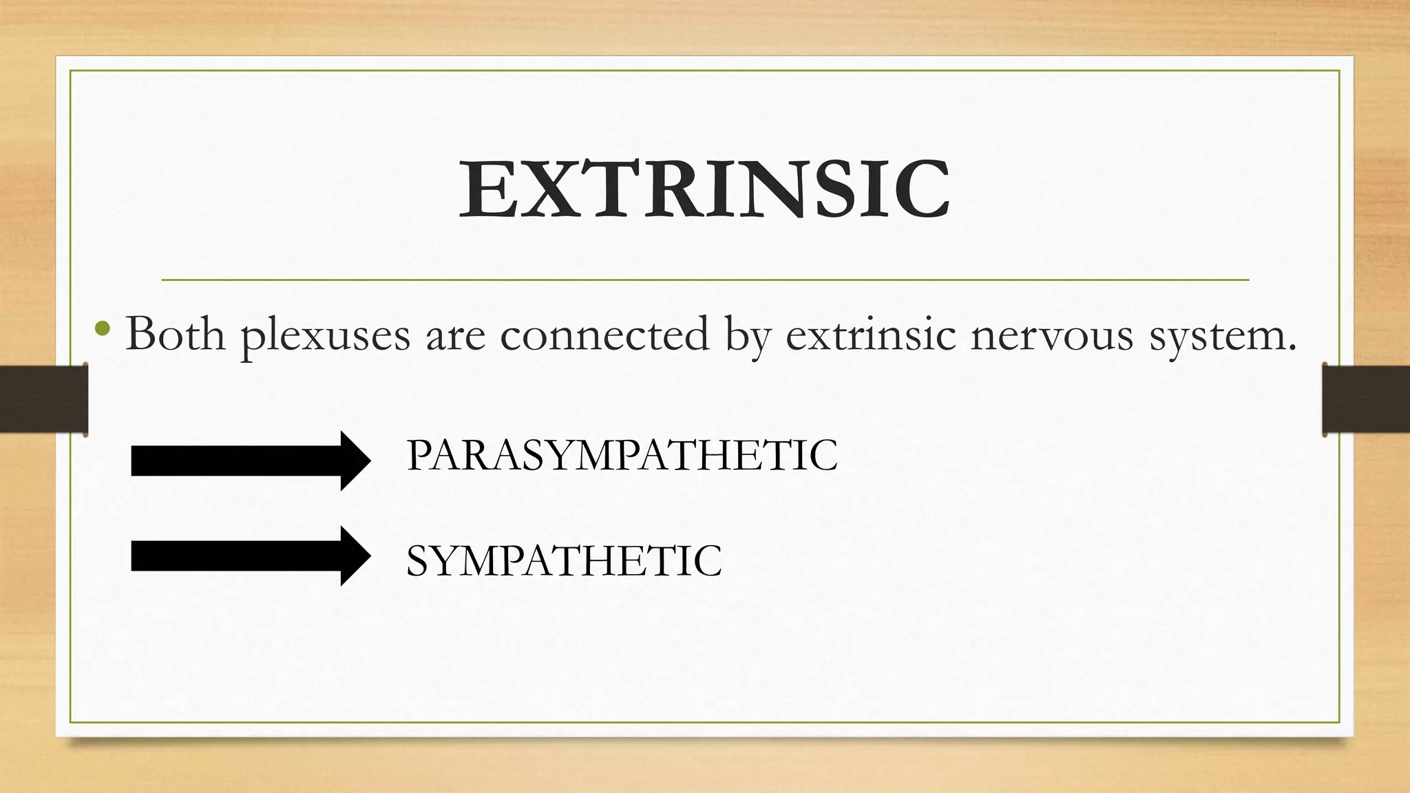 nerve supply of GIT | PDF
