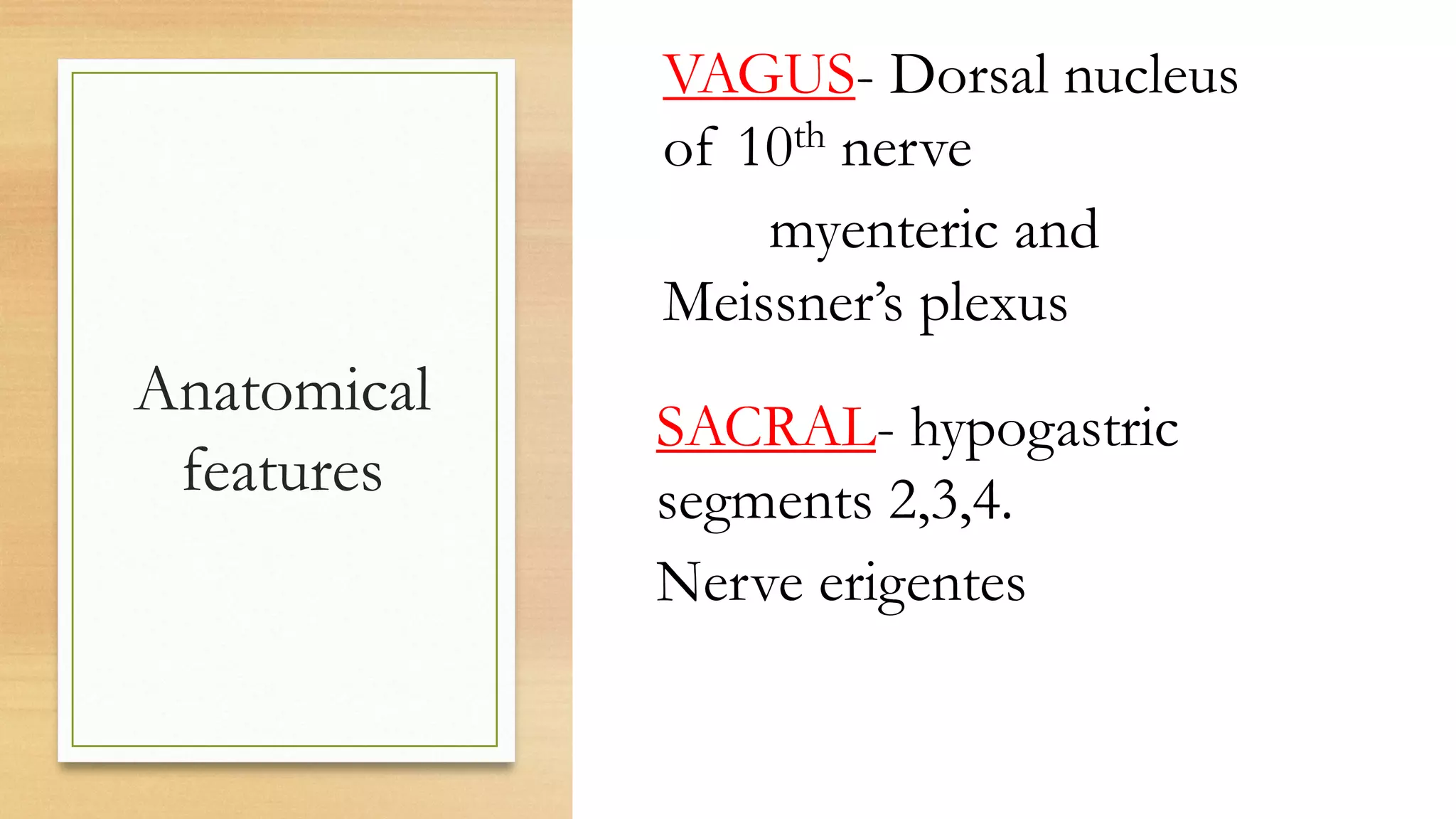 nerve supply of GIT | PDF