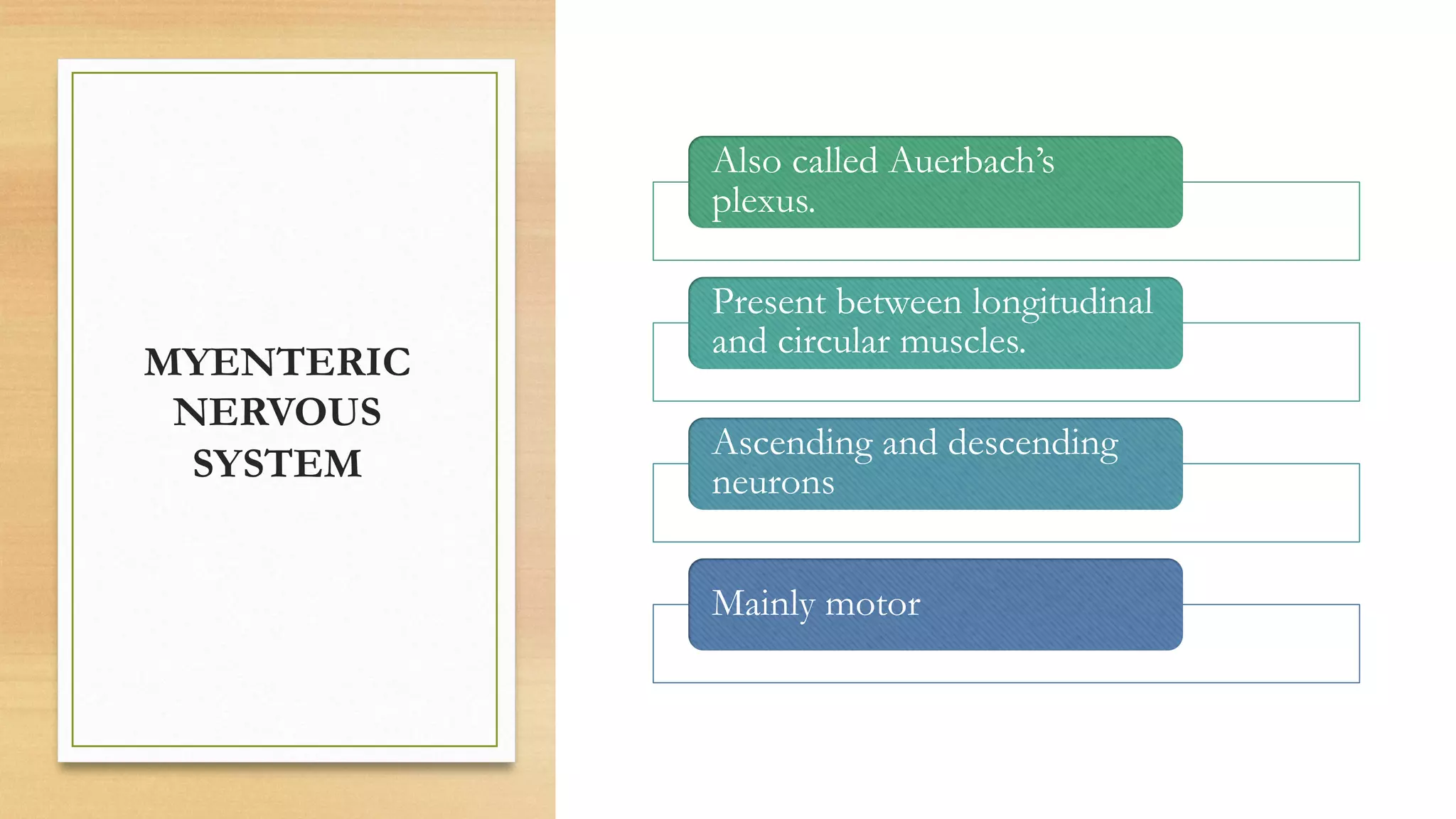 nerve supply of GIT | PDF