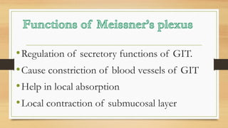 nerve supply of GIT | PDF