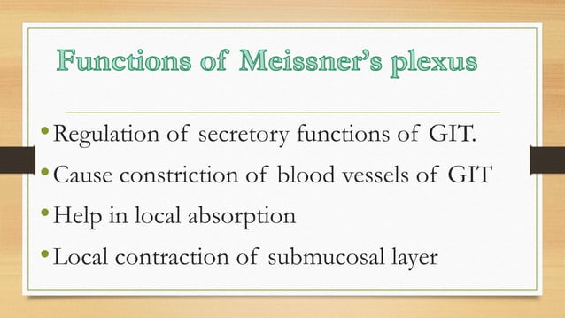 nerve supply of GIT | PDF | Brain and Nervous System Disorders | Diseases and Conditions