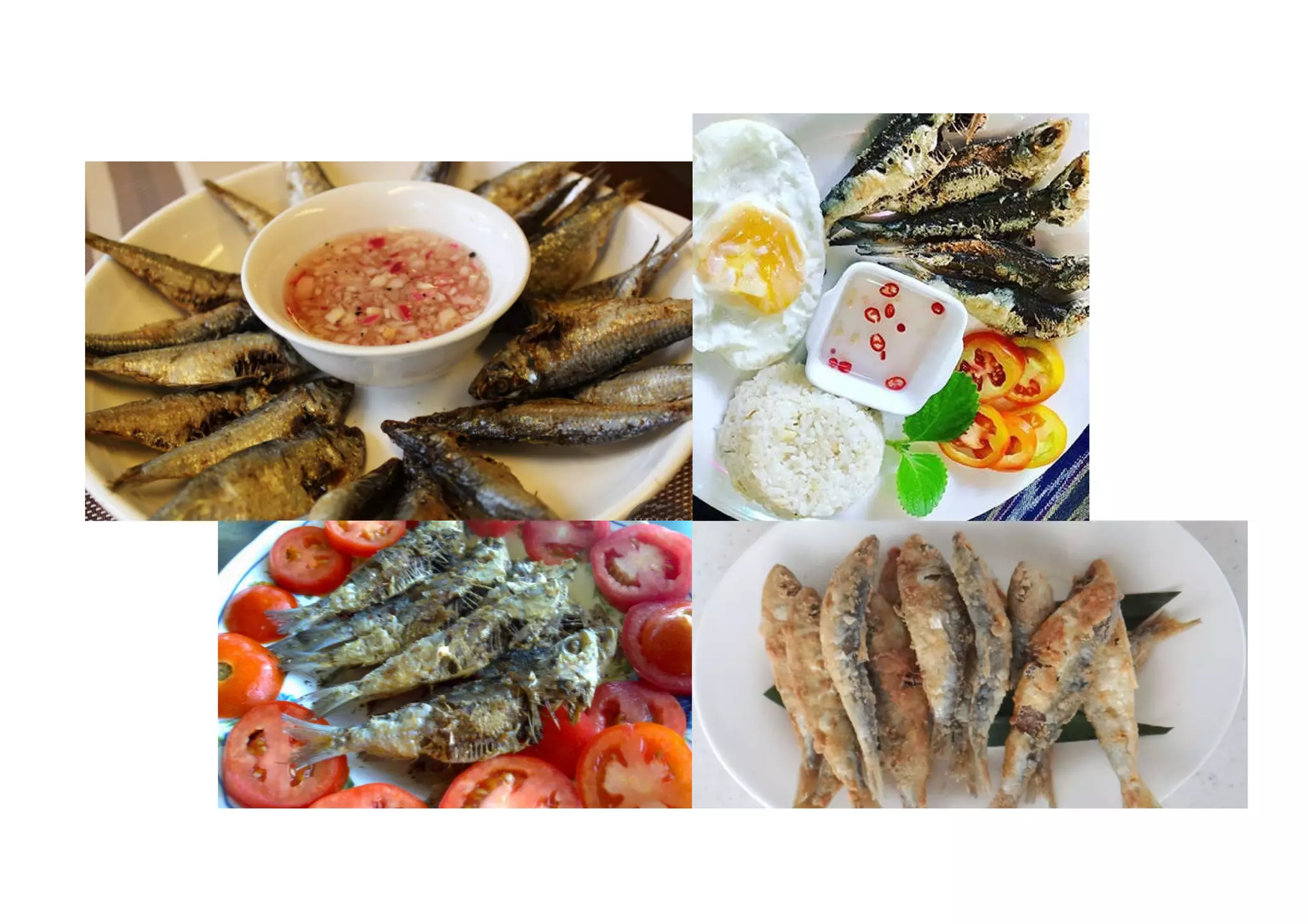 National Integrated Protected Areas System (NIPAS) Act and E (expanded ...