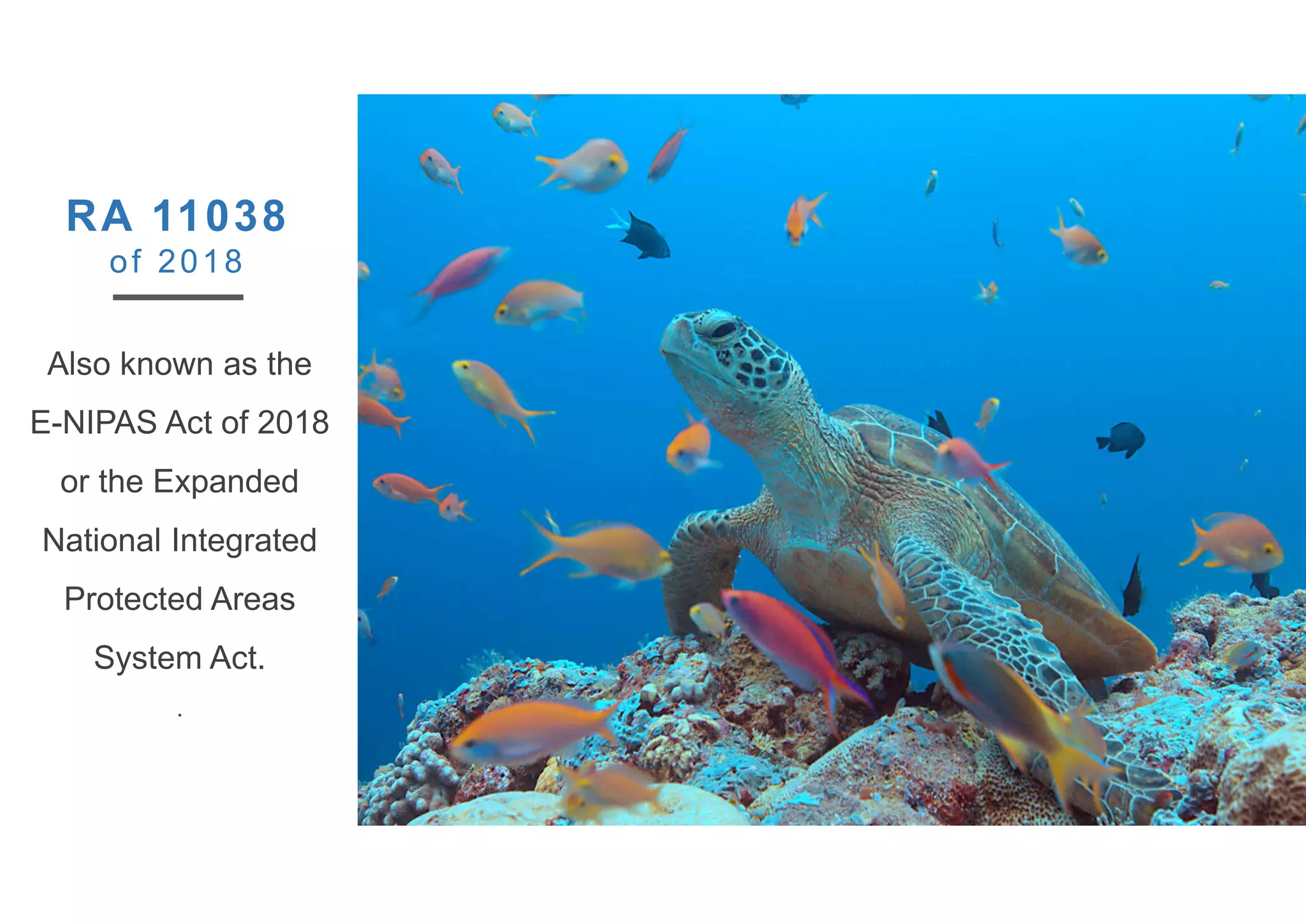 National Integrated Protected Areas System (NIPAS) Act and E (expanded) - NIPAS Act of the ...