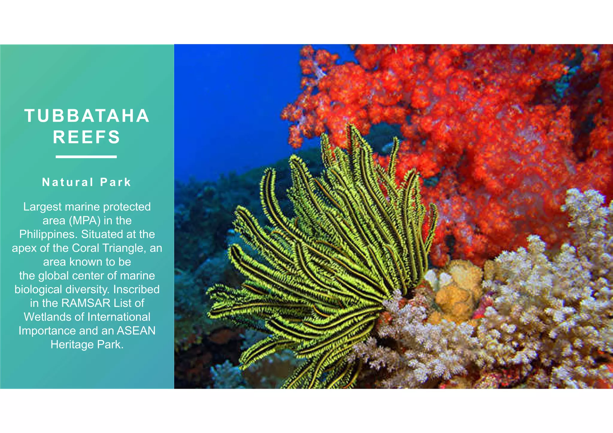 National Integrated Protected Areas System (NIPAS) Act and E (expanded ...