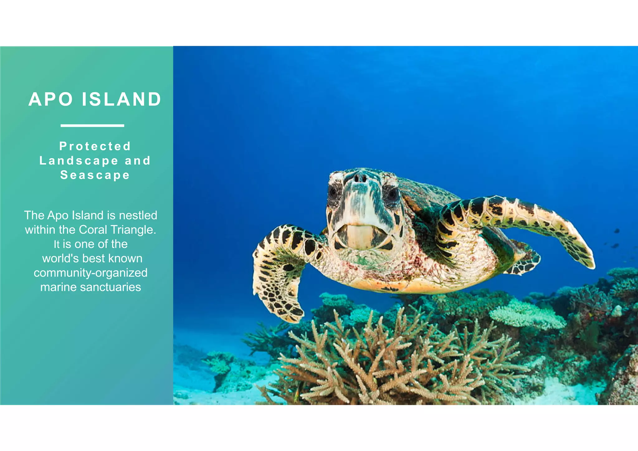 National Integrated Protected Areas System (NIPAS) Act and E (expanded ...
