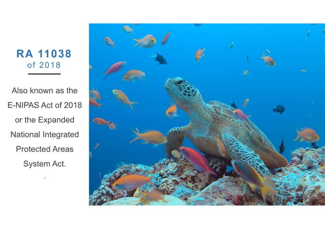 National Integrated Protected Areas System (NIPAS) Act and E (expanded ...