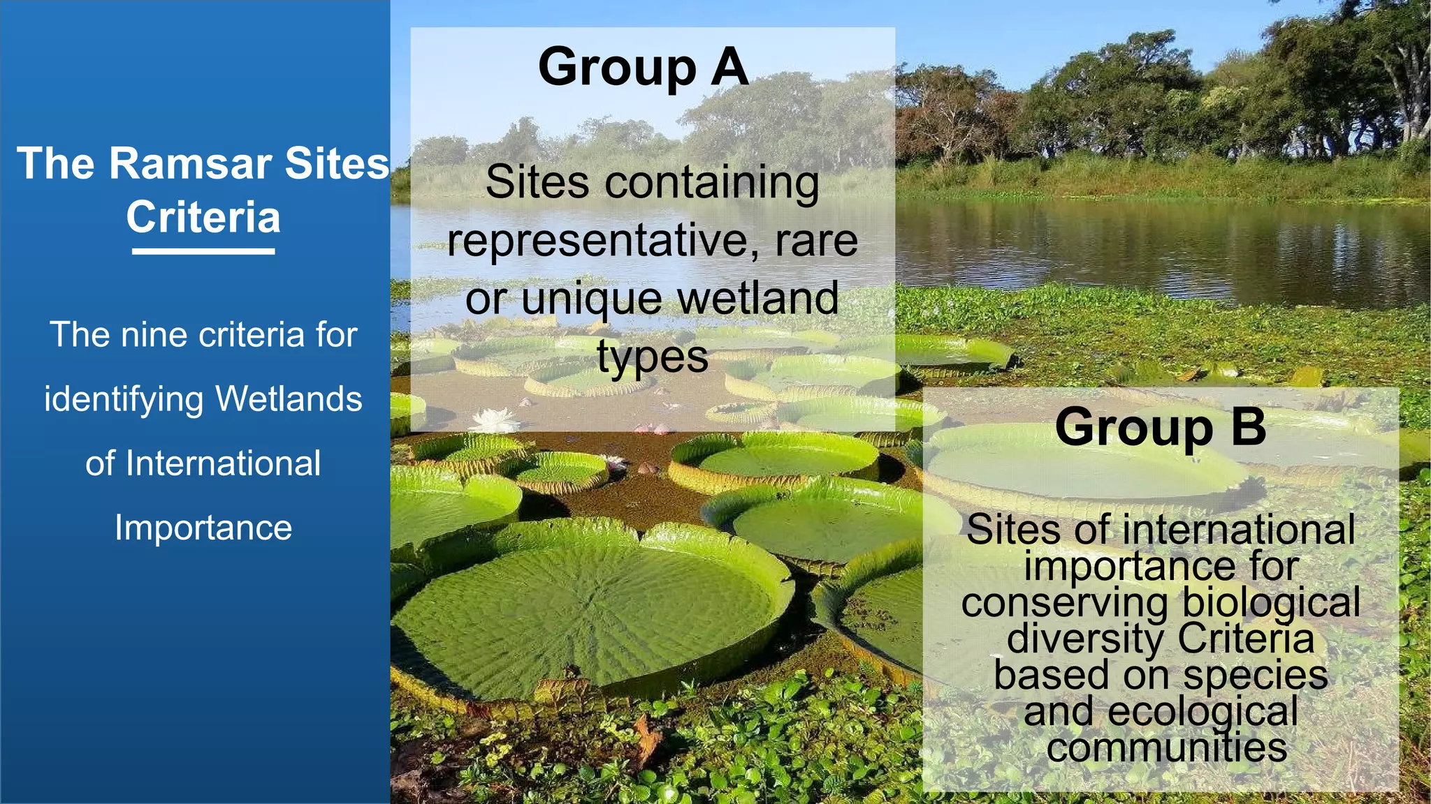 Ramsar: The Convention of Wetlands of International Importance. BMN ...