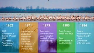 Ramsar: The Convention of Wetlands of International Importance. BMN ...