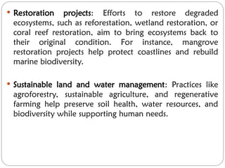 ENS 801 - ECOSYSTEMS AND BIODIVERSITY.ppt