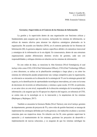 Ensayo. Gerencia y Supervisión, psm valencia Pedro Castillo | DOCX