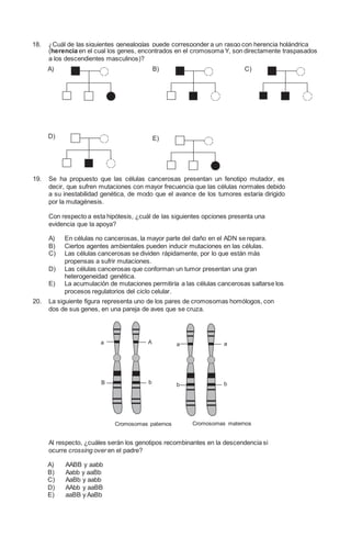 Ensayo herencia y variabilidad | DOCX